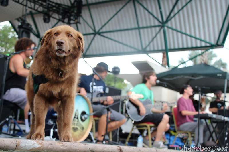 2 Nights of Feels! | Slightly Stoopid Live Review & Concert Photos w ...