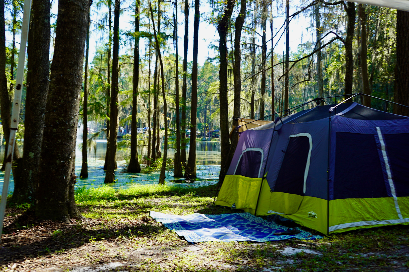 PHOTOS + REVIEW: Suwannee Roots Revival 2021 ⋆ Shows I Go To | 🎤 ...