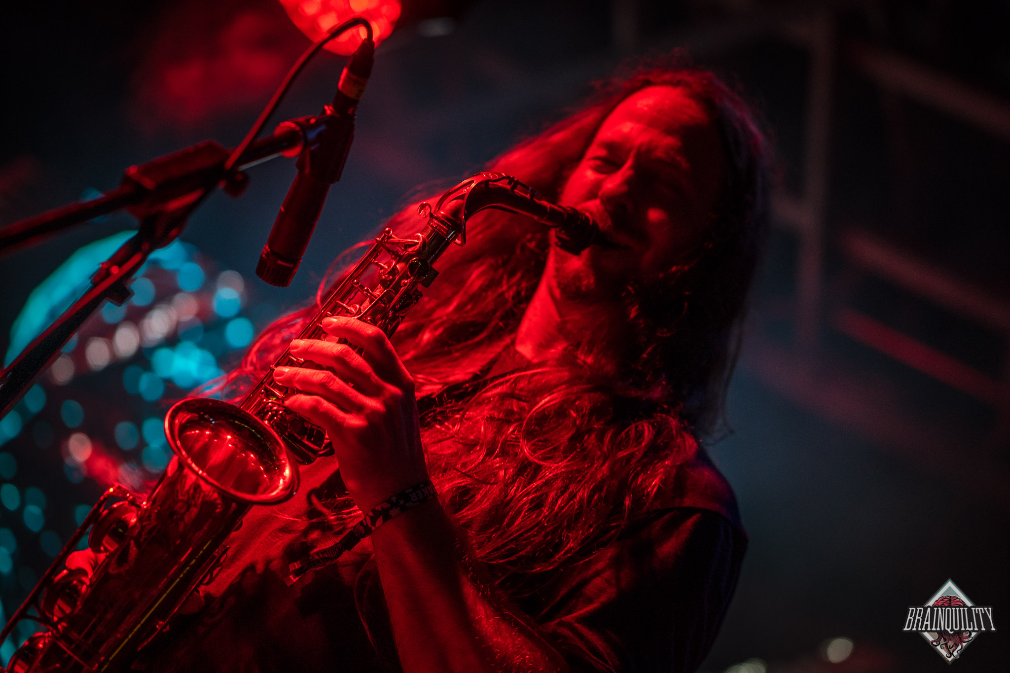 REVIEW + PHOTOS: Brainquility Music Festival 2022 ⋆ Shows I Go To ...