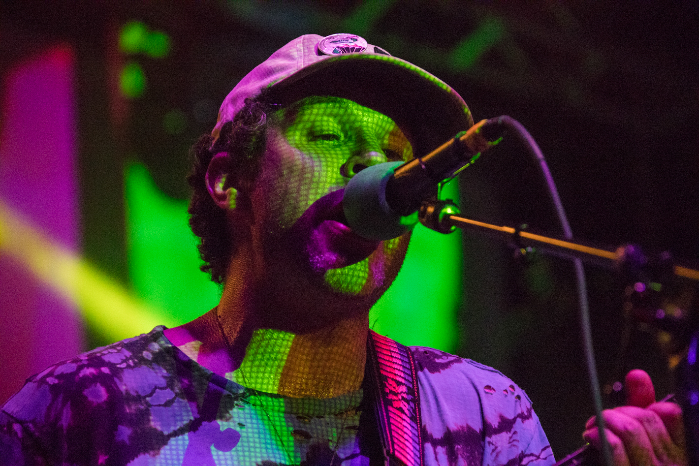 PHOTOS — Animal Collective at Jannus Live 2022 ⋆ Shows I Go To | 🎤 ...