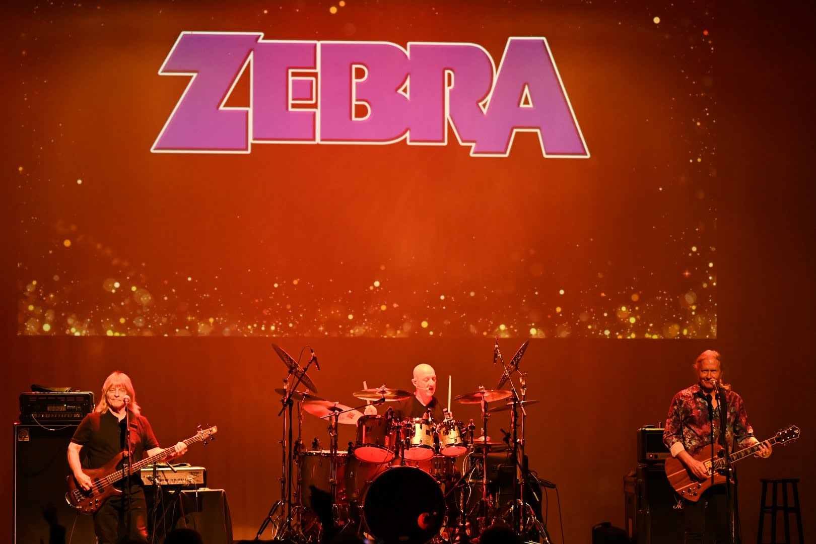 PHOTOS — Zebra 2024 ⋆ Shows I Go To | 🎤 Florida Concerts, Festivals ...